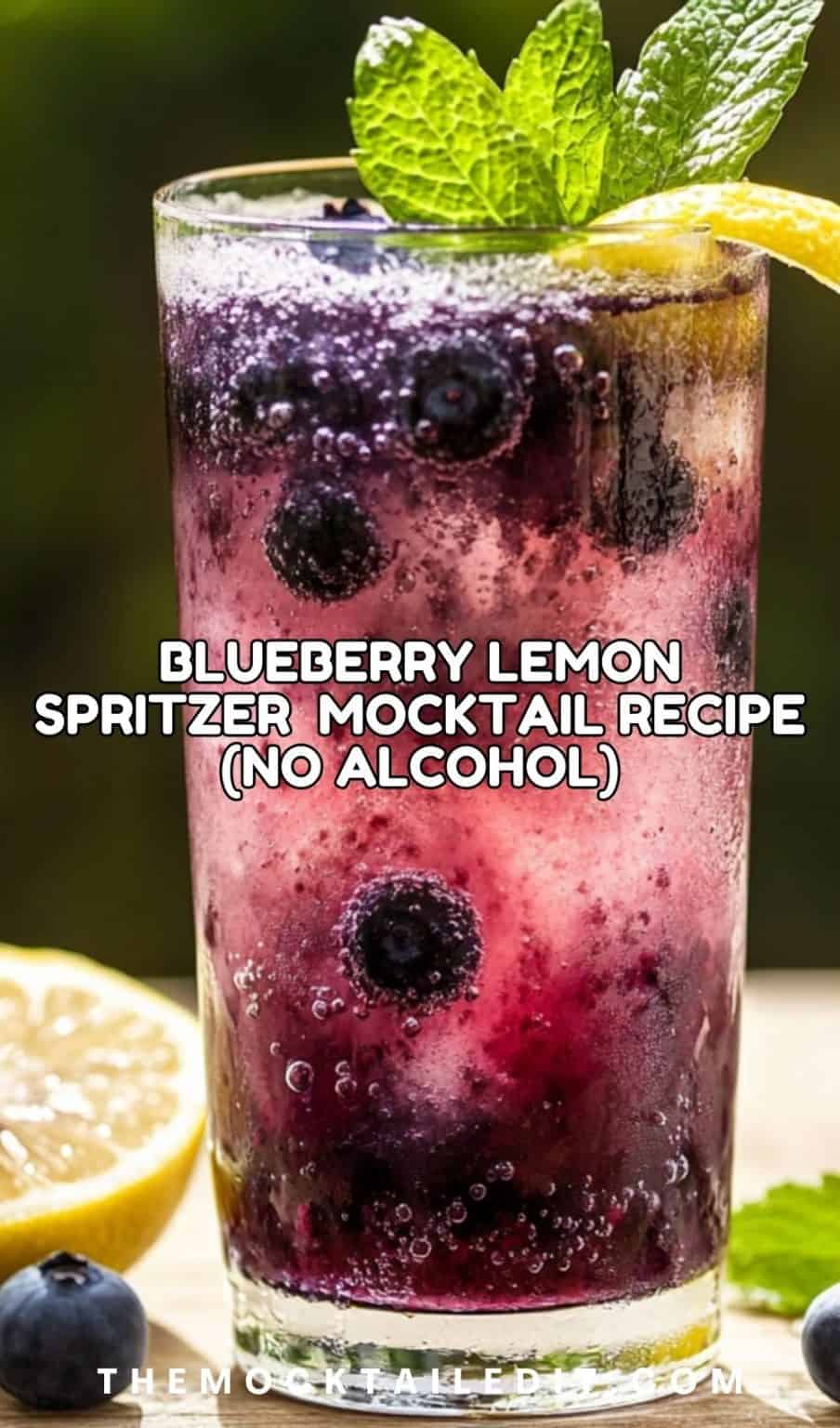 Blueberry Lemon Spritzer: Bright, Tangy, and Bursting with Flavor - The ...