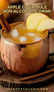 Apple Cider Mule: Crisp, Spiced, and Fall-Ready - The Mocktail Edit